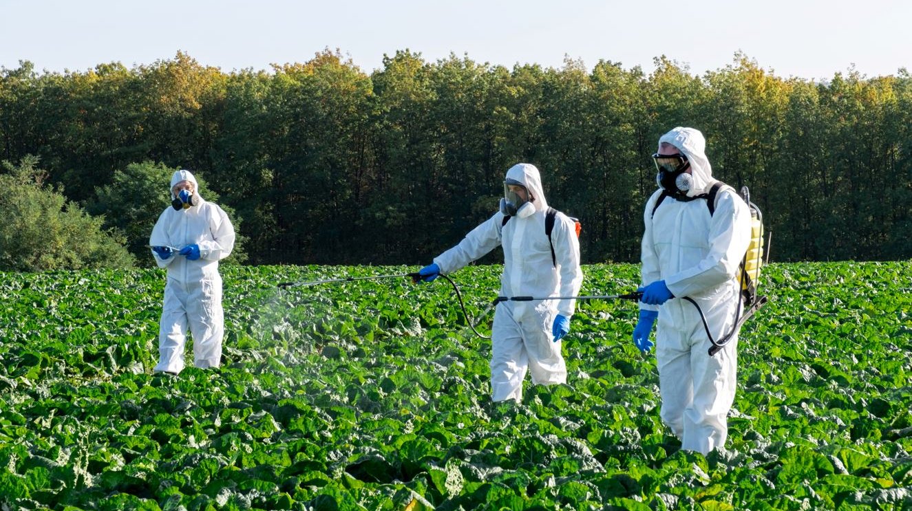 Stoffenmanager® Training: Controlling risks